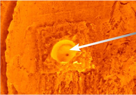 OptiClean Purge Plug - Vesuvius